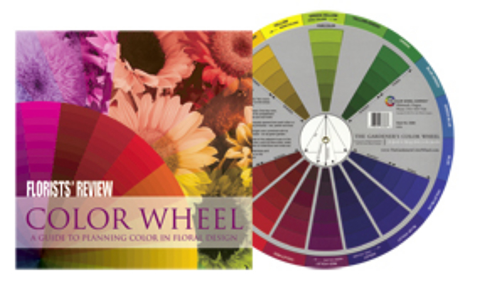 Flower Color Wheel