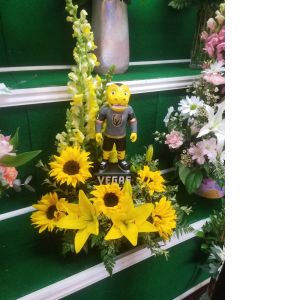 DiBella Flowers & Gifts - Flowers