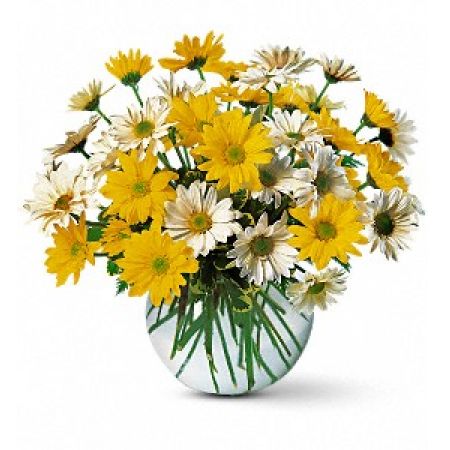 Newtown Florist - Same Day Flower Delivery, PA, 18940